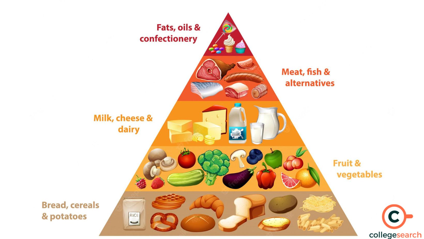 Variety of Food: Delicious Recipes for Every Mood and Season