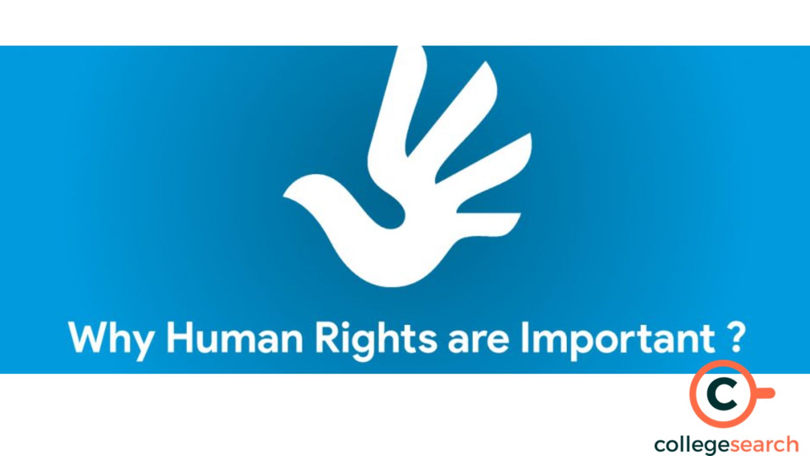 The Human Rights Law: Key Facts, Core Principles, IHRL, Enforced Laws ...