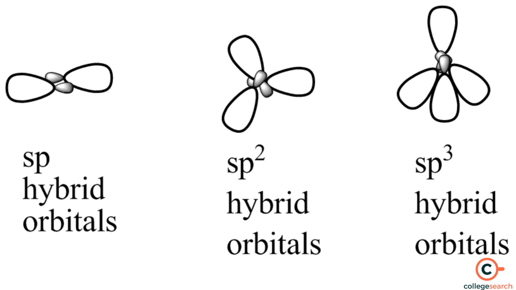 Comprehensive Guide to Types of Hybridization in Chemistry 2025