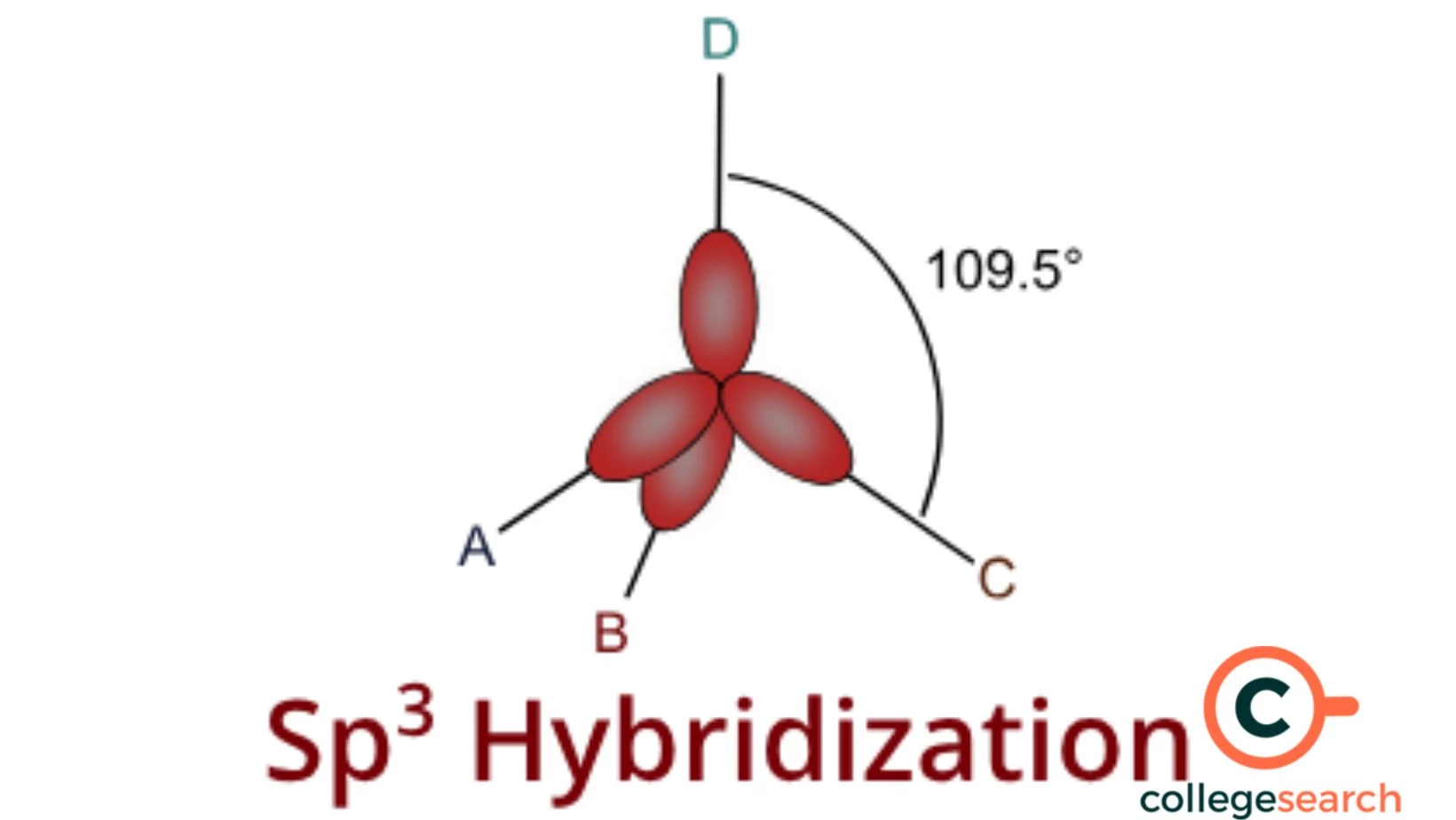 Sp3 Hybridization: Definitions, Examples, Properties, Electronic ...