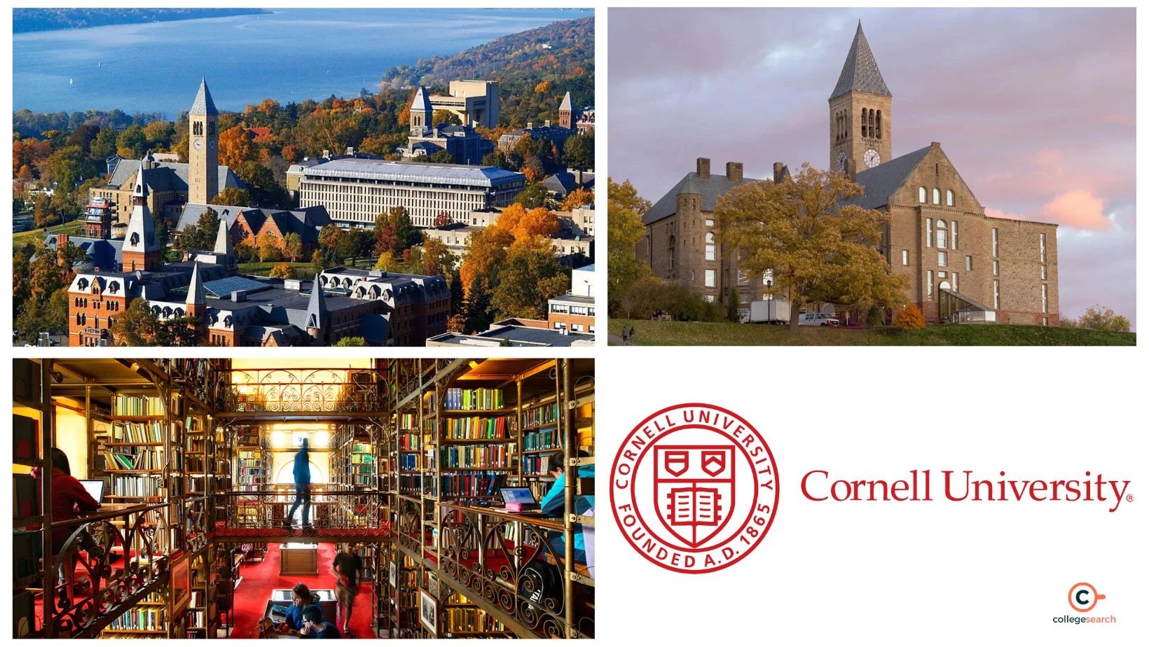 Top 8 Ivy League Schools: About, Courses and Fees in INR | CollegeSearch