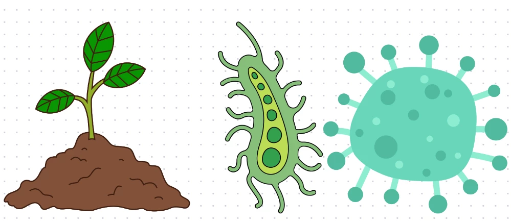 Father of Biology: (Aristotle) Biography, Biology Branches, Discoveries ...