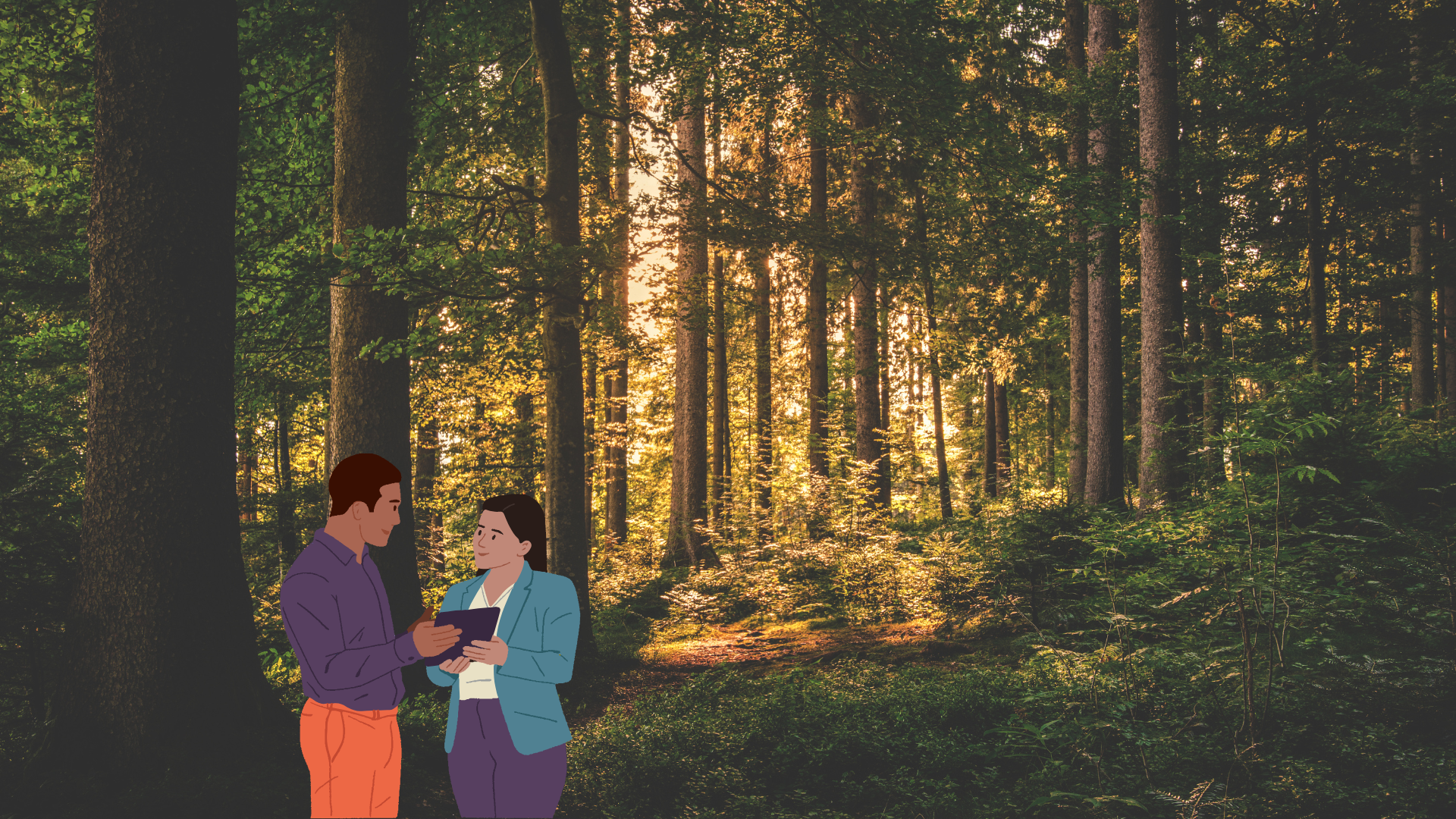 Indian Forest Service Salary, Allowances, Perks, Benefits and Promotions