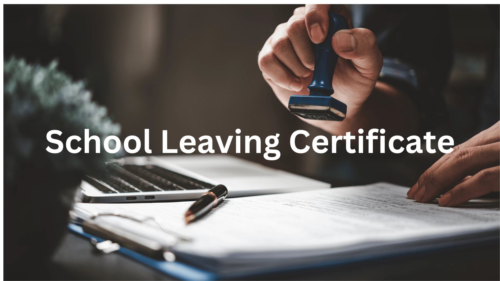 Complete Guide to School Leaving Certificate Application & Uses