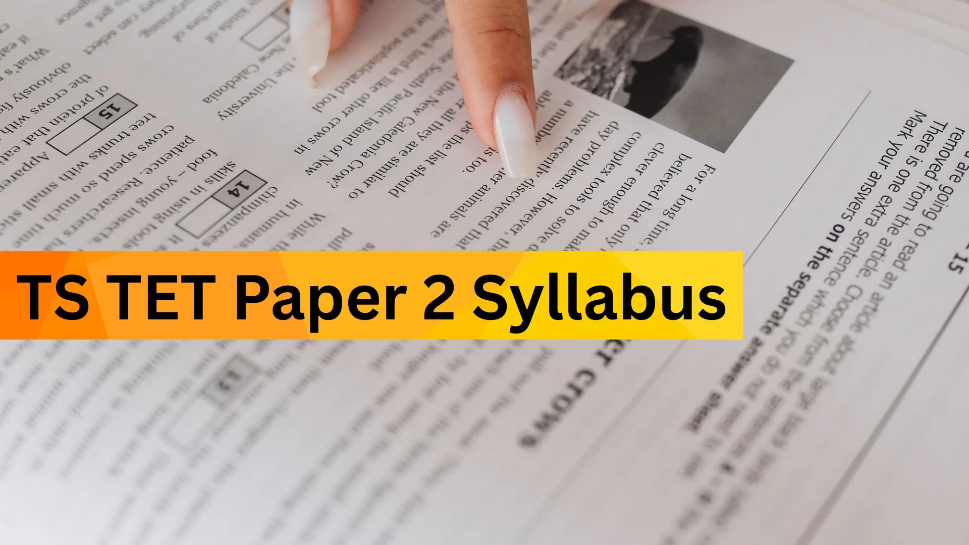 Telangana TS TET Syllabus 2025: Detailed Paper 1 & 2 Exam Pattern