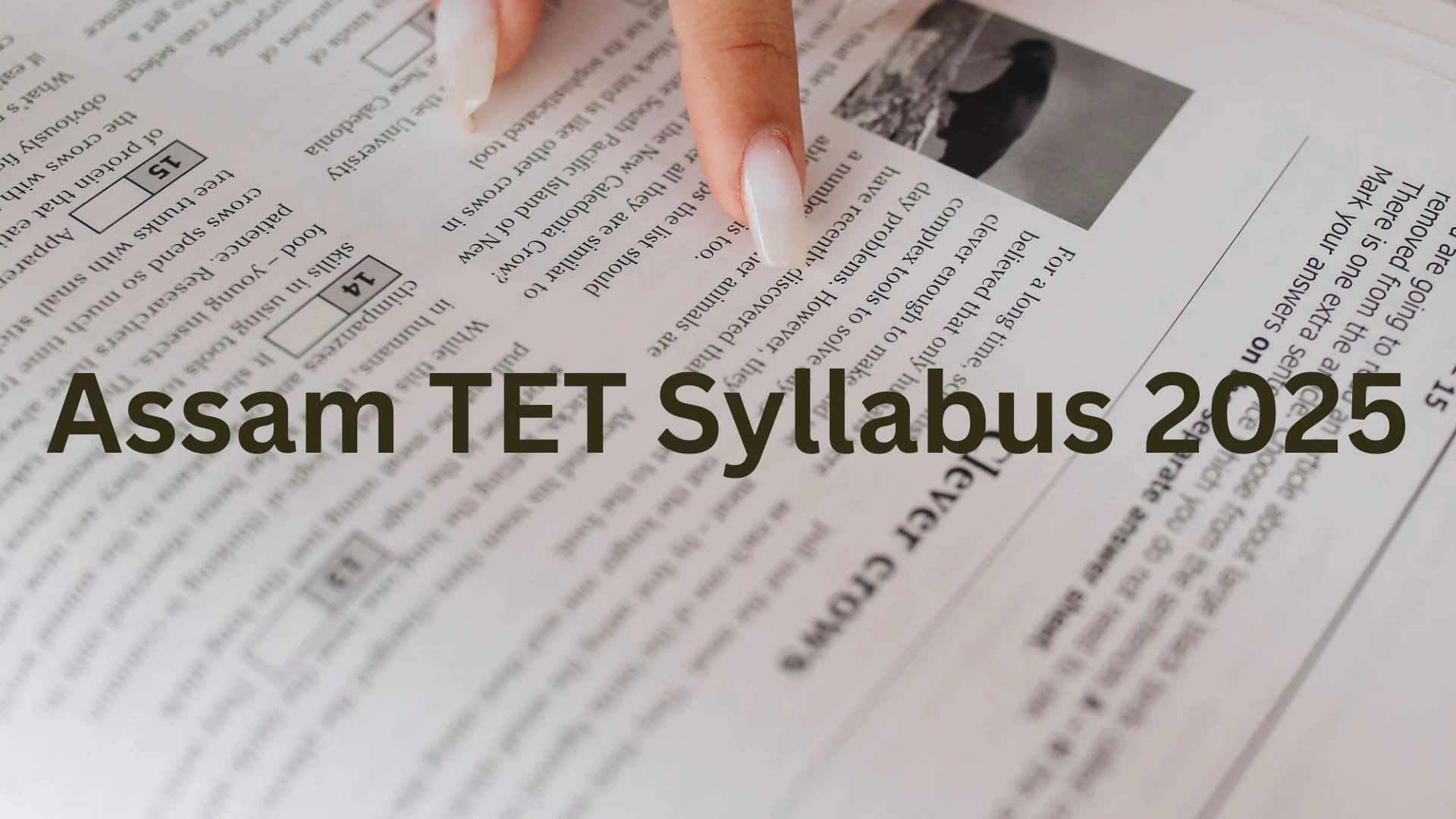 Assam TET Syllabus 2025: Authoritative Guide for Teacher Eligibility Exam