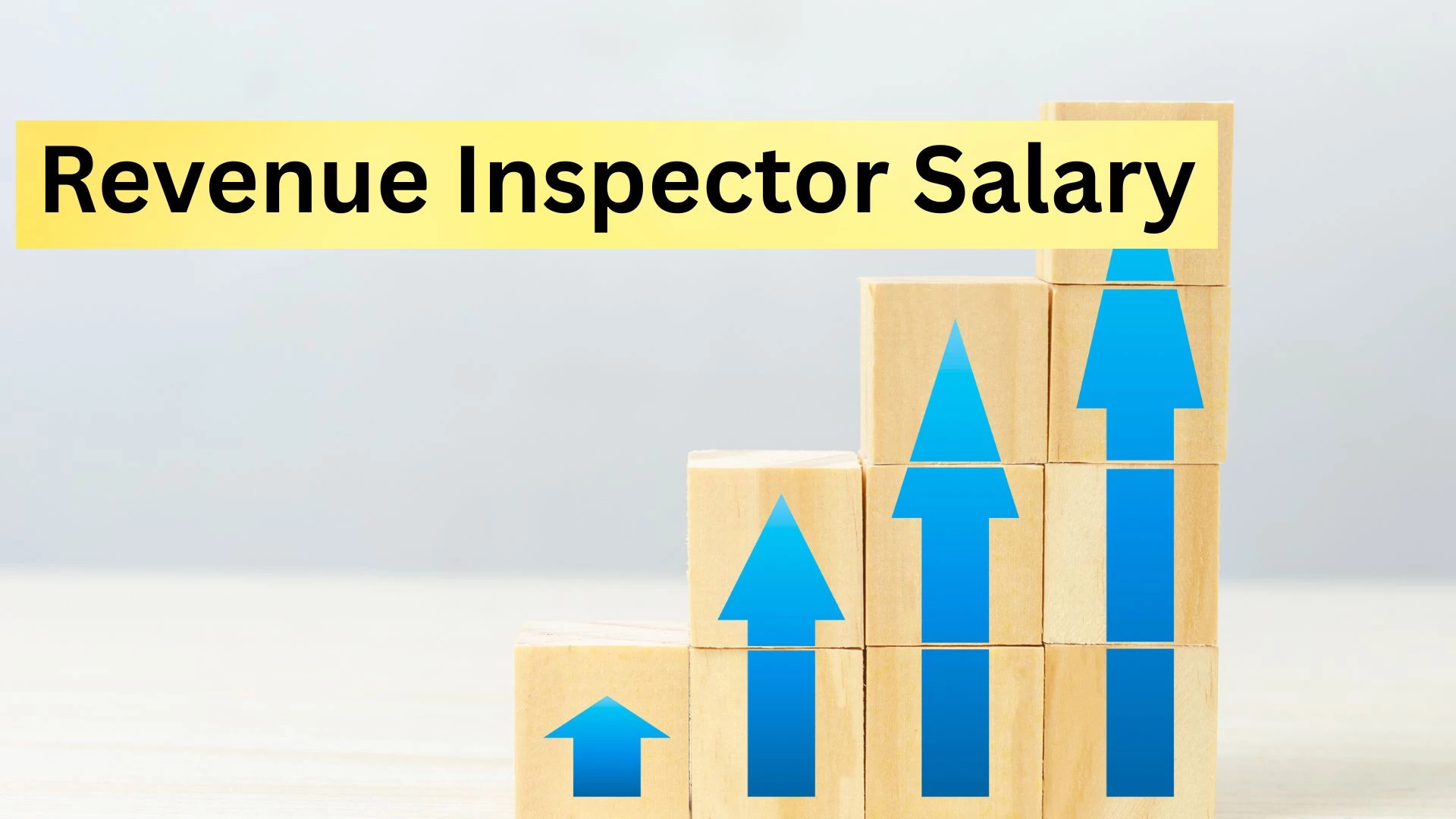 Revenue Inspector Salary Per Month 2025