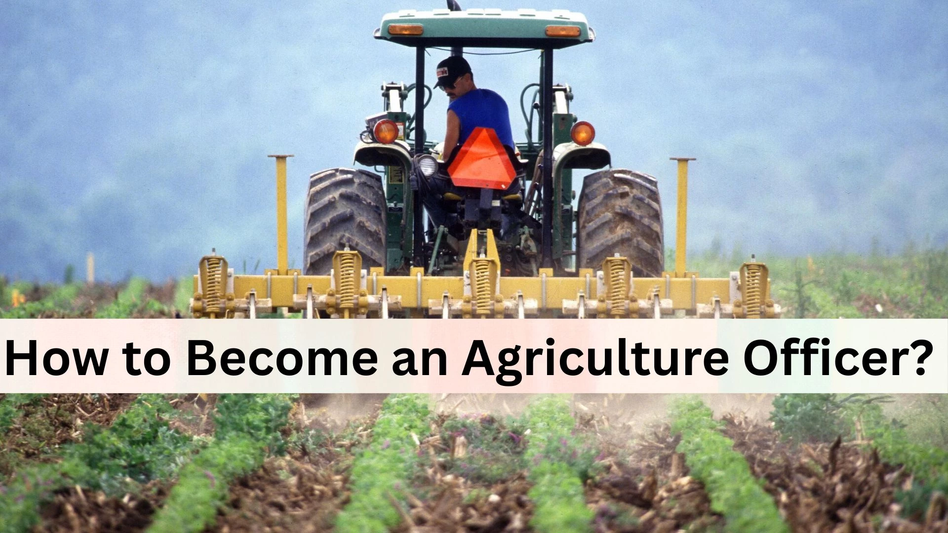 How to Become an Agriculture Officer in 2025: Qualifications, Courses ...