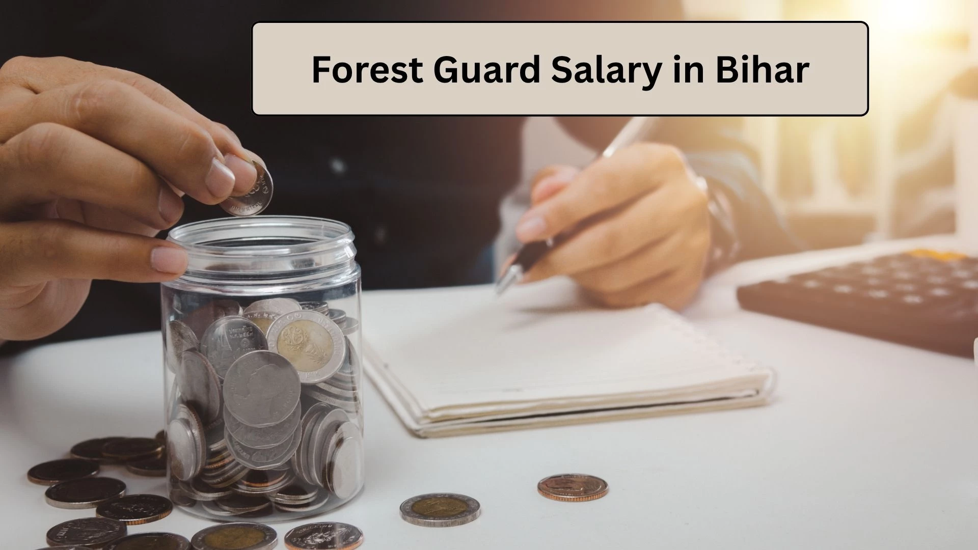 Bihar Forest Guard Salary 2025: Pay Scale, Allowances & Benefits