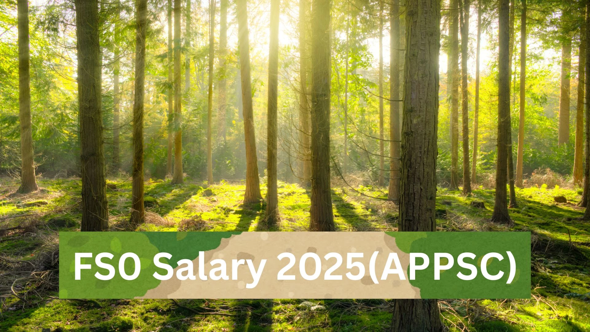 Forest Section Officer Salary 2025(APPSC): Group, In-hand Salary, Job ...