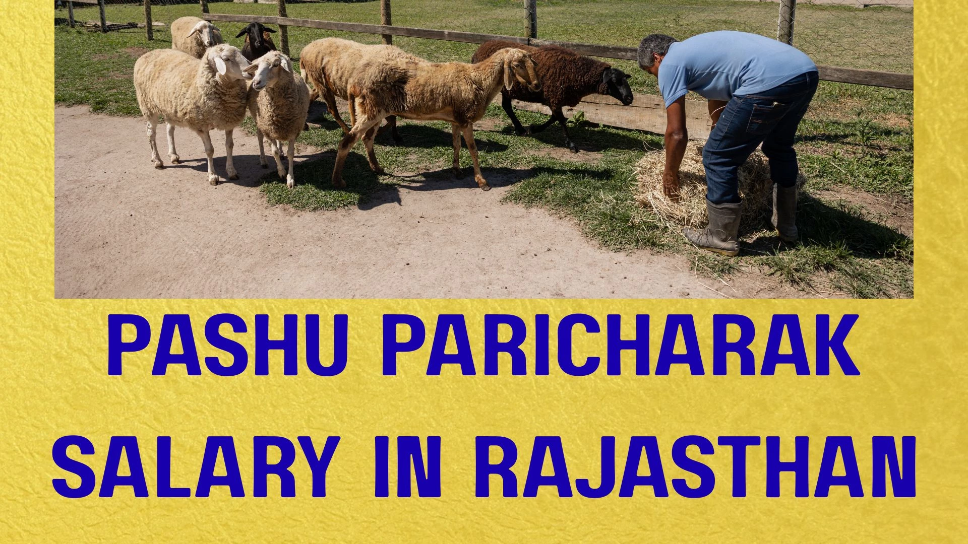 Pashu Paricharak In-Hand Salary in Rajasthan Per Month 2025: Rajasthan ...