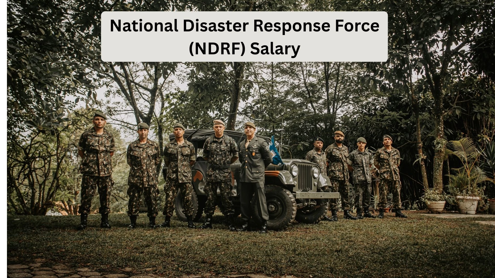 National Disaster Response Force (NDRF) Full Form, Salary, Roles ...