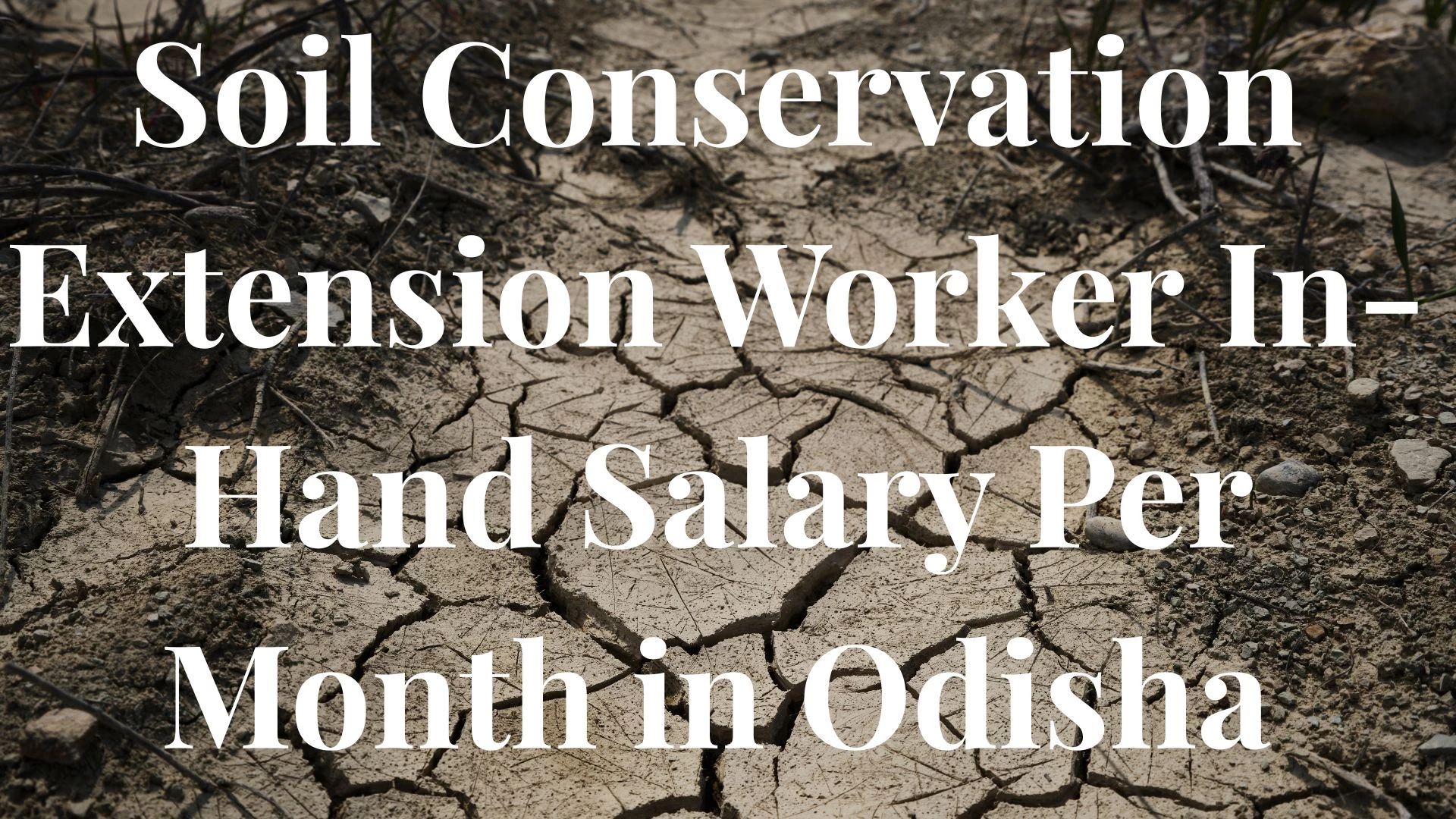 Soil Conservation Extension Worker In-Hand Salary Per Month in Odisha