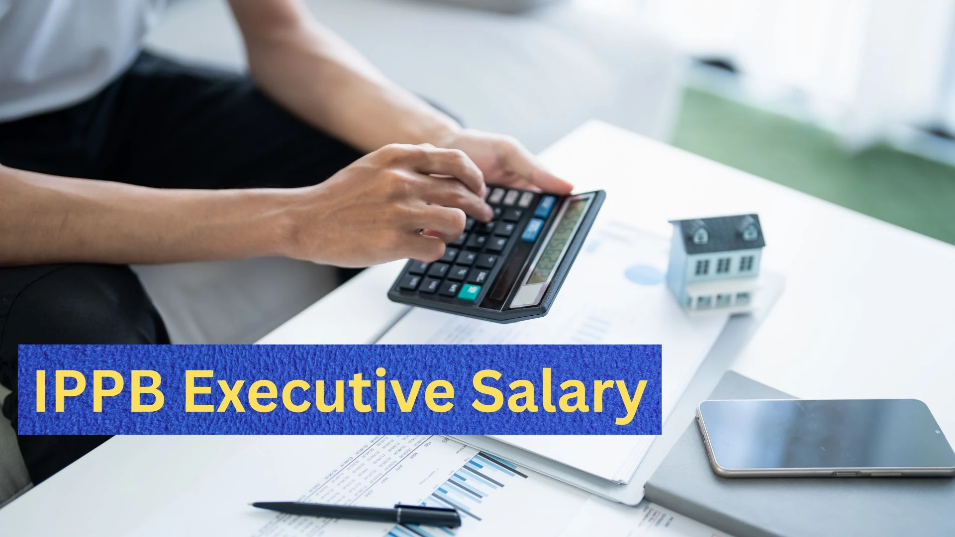 IPPB Executive Salary Per Month 2025 and Work Responsibilities
