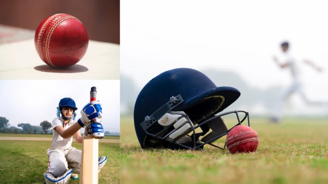 Ashish Nehra Cricket Academy: Fees, Coaches, Campuses, Facilities ...