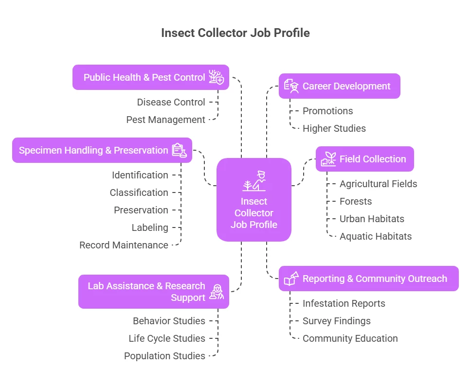 Insect Collector In-Hand Per Month Salary and Job Profile